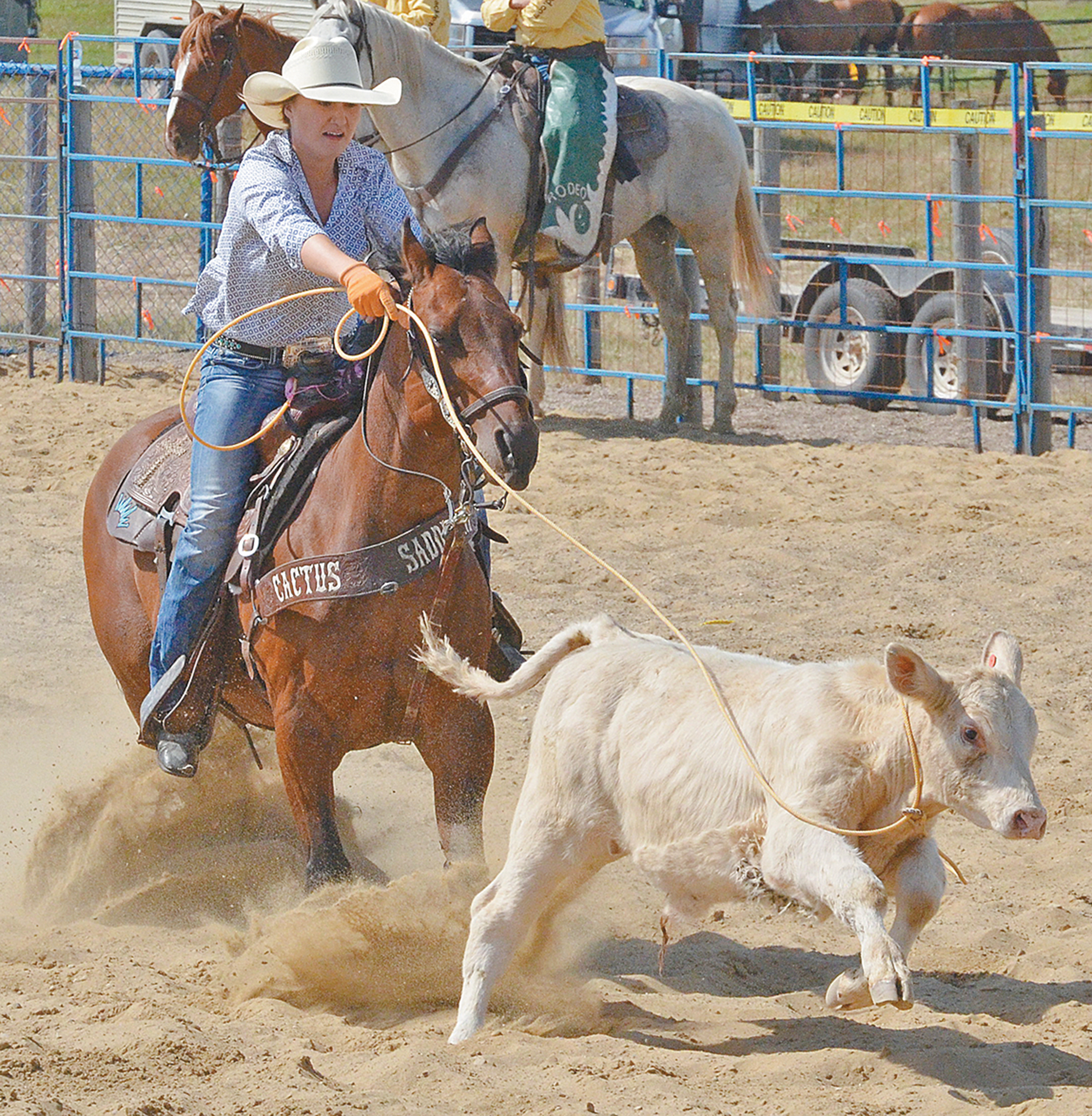 Calf Roping