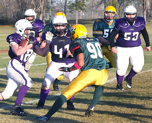 cobras-football - Grasslands News