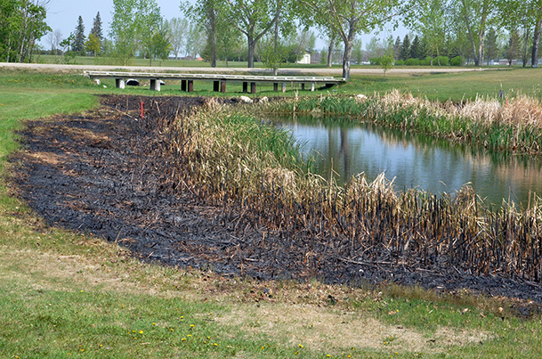 Grenfell fire chief discovers golf course fire - Grasslands News